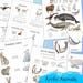 Arctic & Antarctica Polar Science Unit Bundle: Homeschool Printable ...