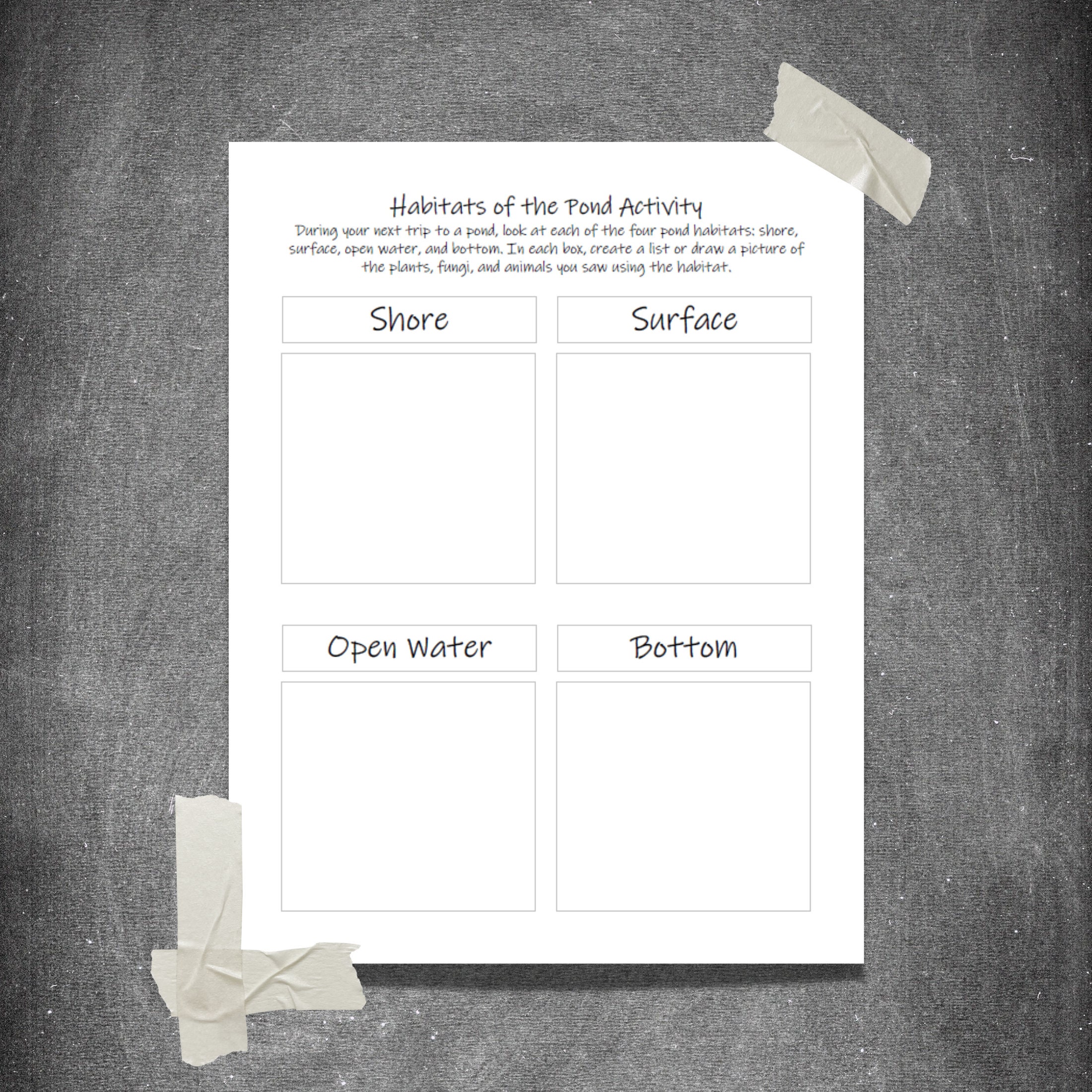 Pond Habitat Mini Study: Science Activity Pack Homeschool - Etsy