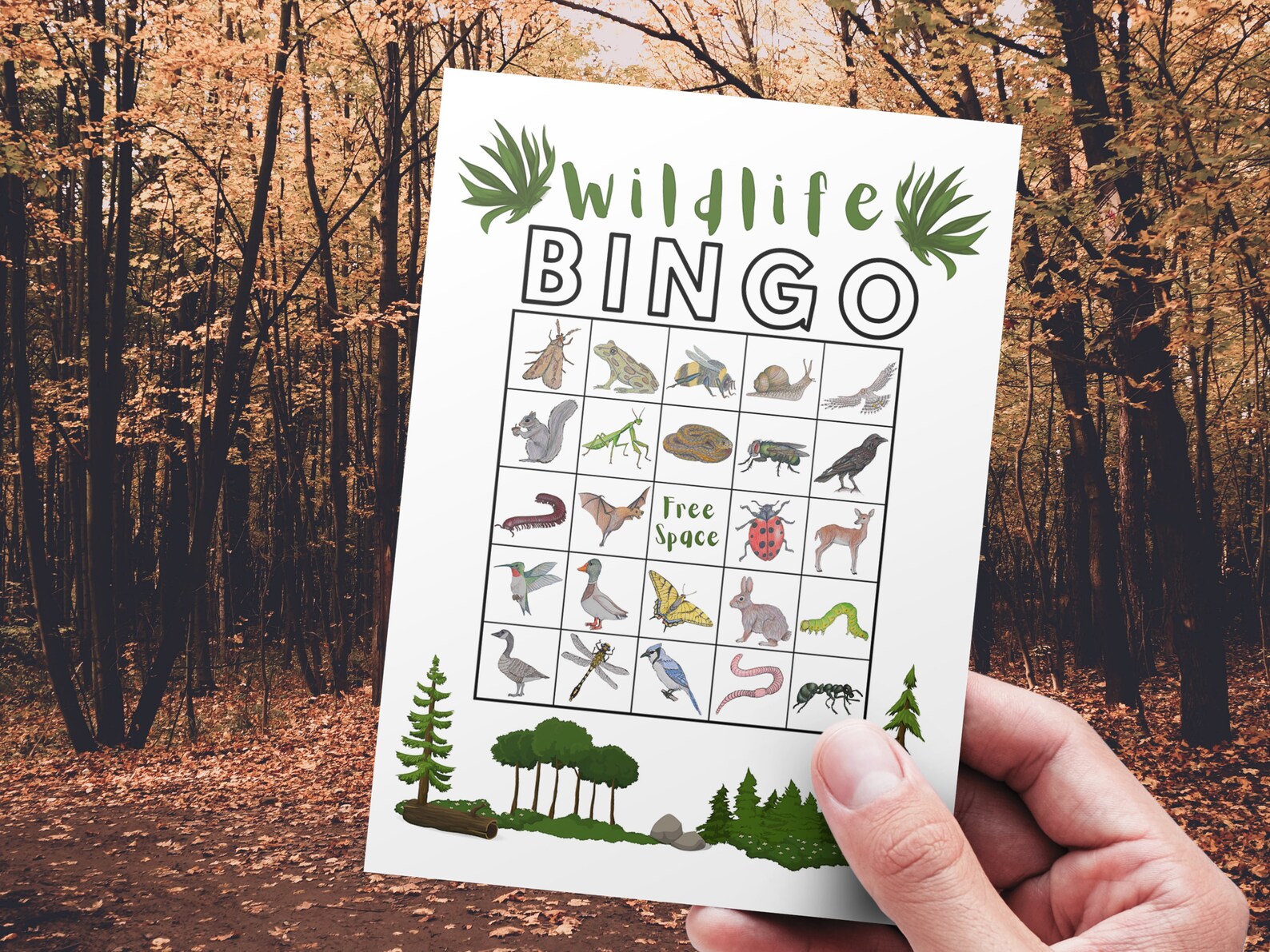 Wildlife Bingo: Printable Game for Kids, Family Road Trips, or School ...