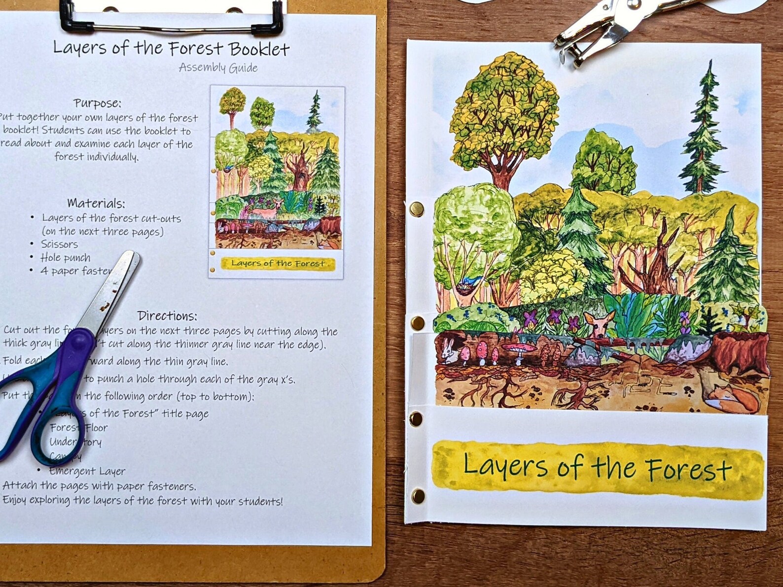 Layers of the Forest: Printable Educational Booklet With Watercolor ...