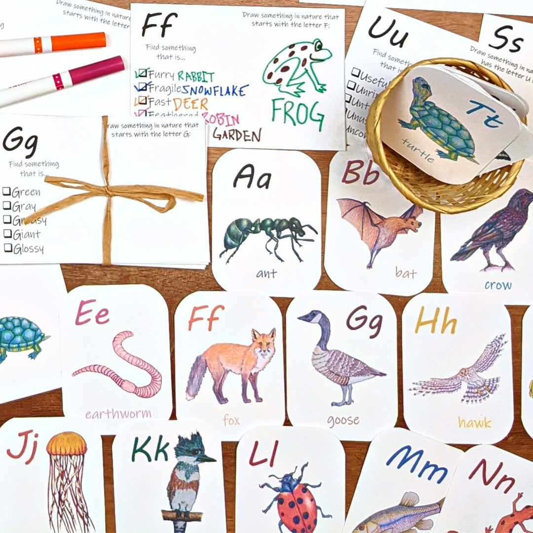 Nature Alphabet Activities: Homeschool Preschool Materials (PDF Pattern ...
