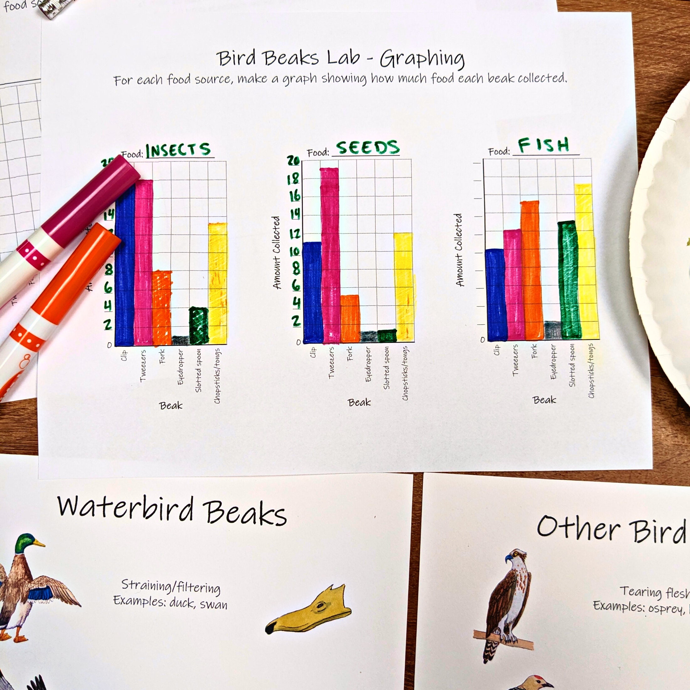 Bird Beak Adaptations Lab: a Mini Study on Natural Selection and ...