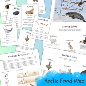 Arctic Unit: Homeschool Science, Animals, Food Web (PDF Download) - Etsy