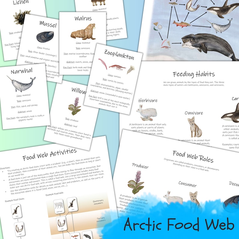 Arctic Unit: Homeschool Science, Animals, Food Web (PDF Download) - Etsy
