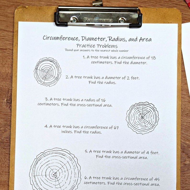 Forest Math Geometry: Circumference, Diameter, Radius (PDF) - Etsy