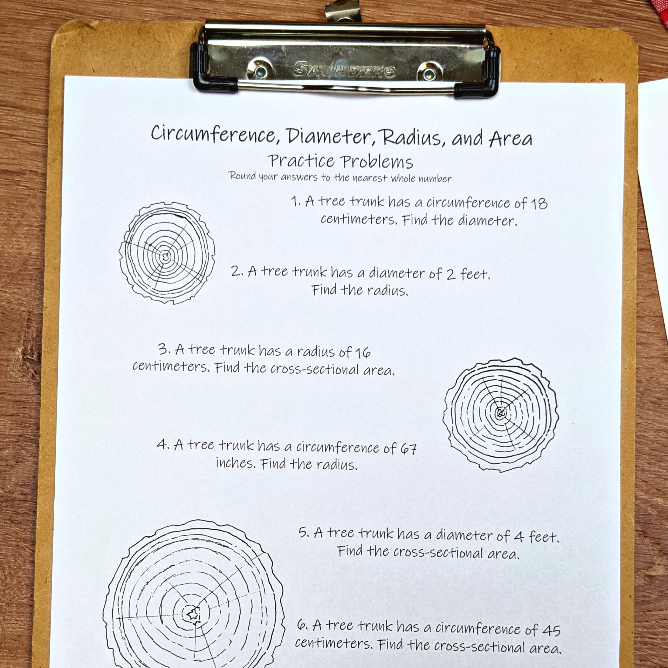 Circumference, Diameter, & Radius Mini Study: Forest Math Activities ...