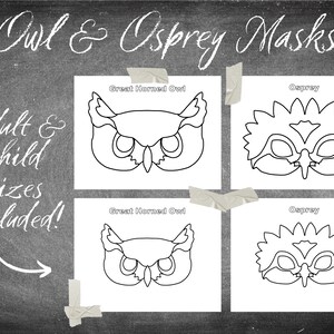 Two Printable Bird Masks: Decorate Your Own Osprey and Owl Masks ...