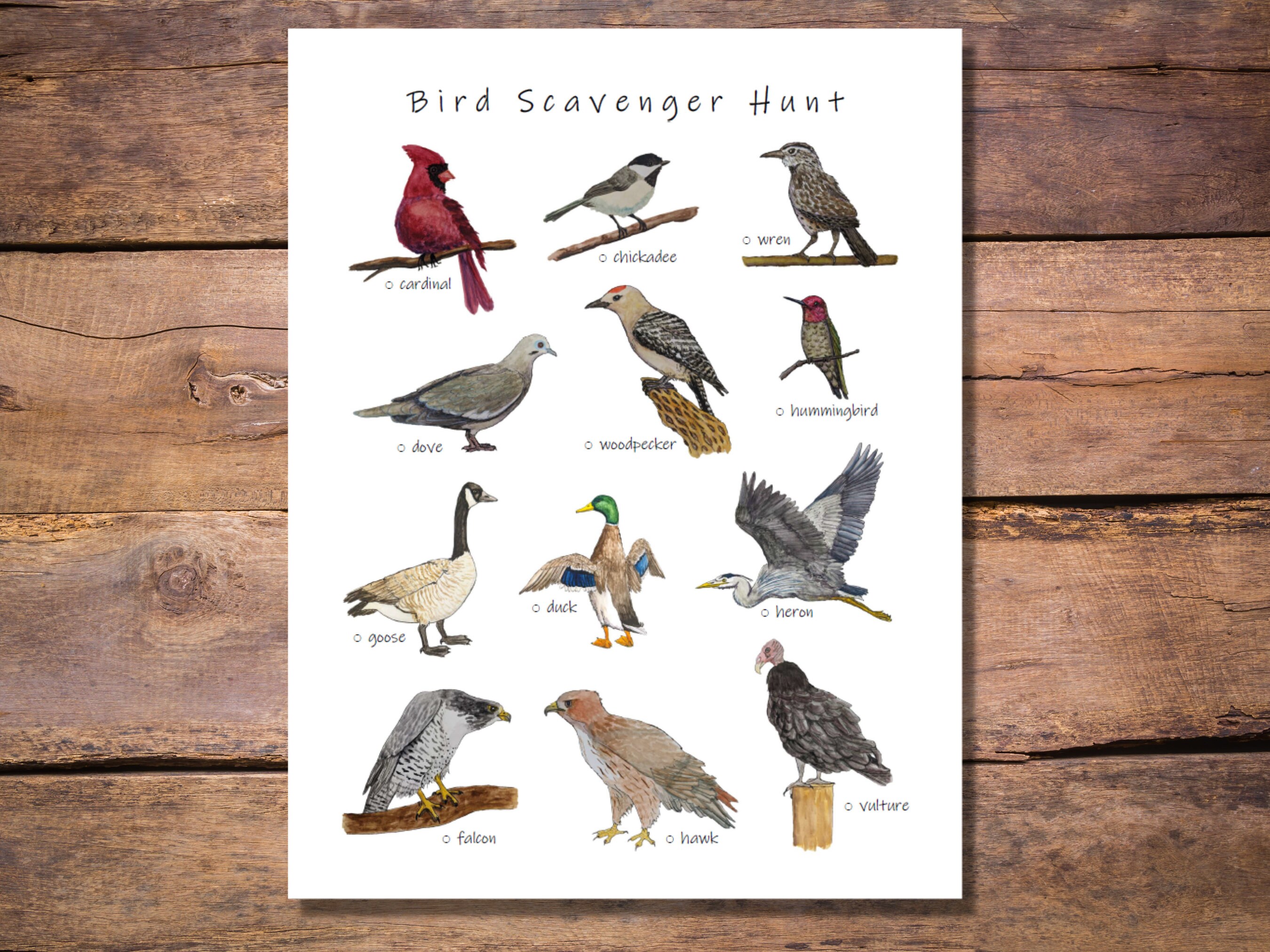 Bird Scavenger Hunt: Bird Watching for Kids, Afterschool Activity, Camp ...
