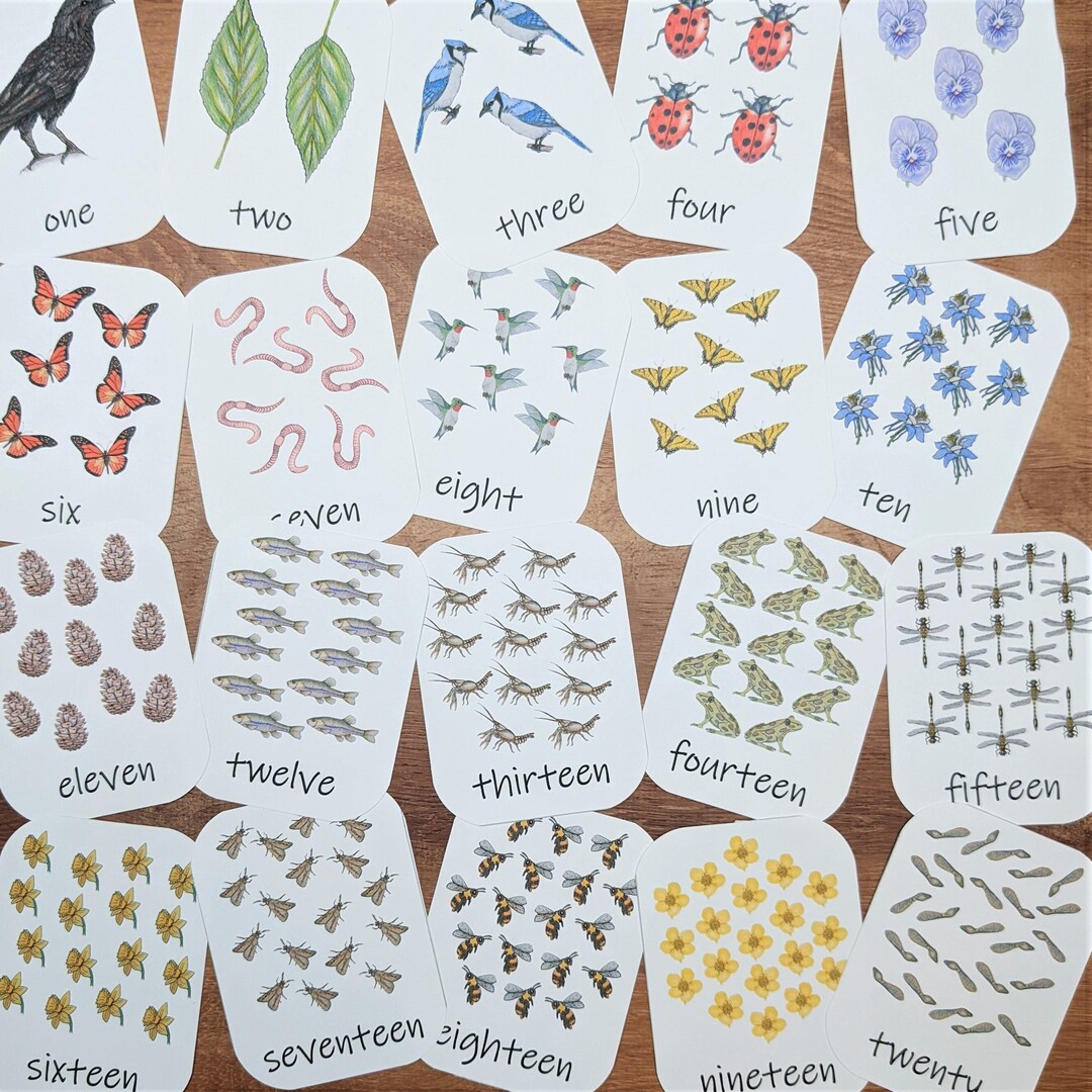 Nature Counting Flashcards: Printable Three-part Cards for Numbers 1-20 ...