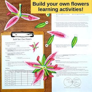 Flower Unit: Study Plant Anatomy With Flower Dissections, Botany ...