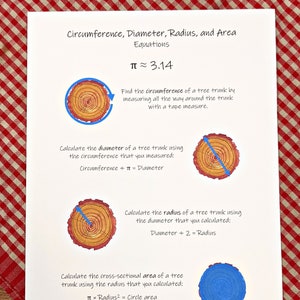 Circumference, Diameter, & Radius Mini Study: Forest Math Activities ...