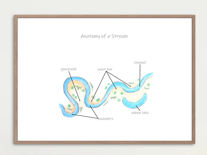 River Anatomy Map: Science Diagram Parts of a River - Etsy