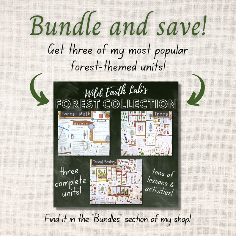 Trees Unit: Homeschool Science Printables & Activities (PDF Download ...