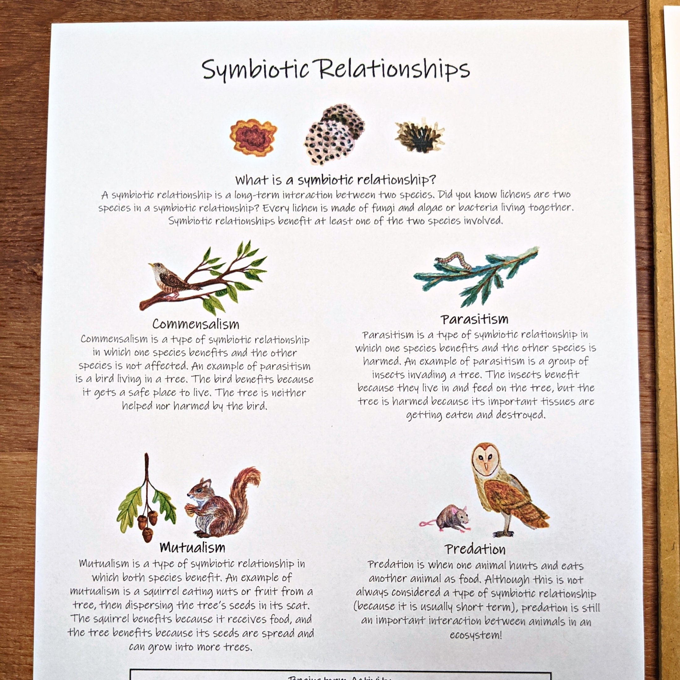 Symbiotic Plants Examples