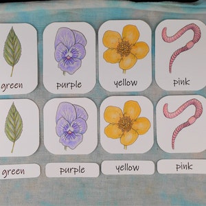 Nature Color Flashcards: Printable Three-part Cards Nature - Etsy