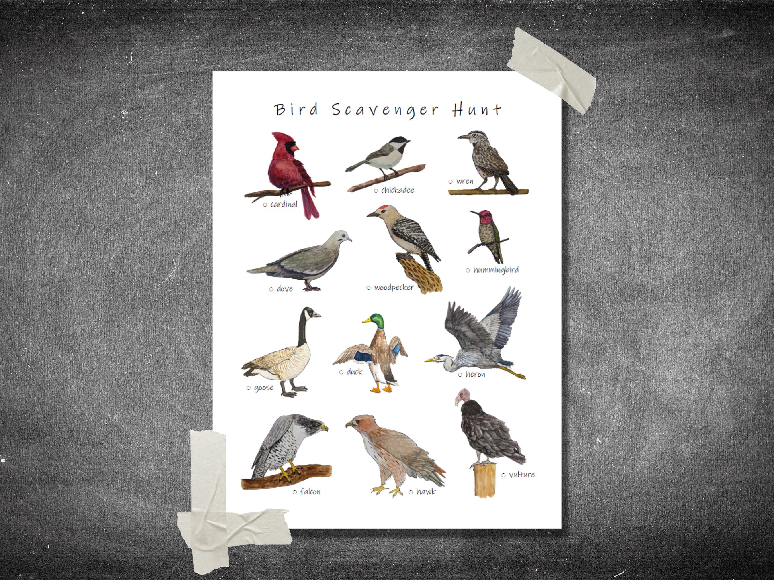 Bird Scavenger Hunt: Bird Watching for Kids, Afterschool Activity, Camp ...