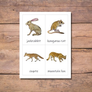 Desert Animals & Plants Three-part Cards: Montessori-style Flashcards ...