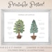 Conifer Vs Deciduous Trees: Printable Classroom Poster for Tree ...