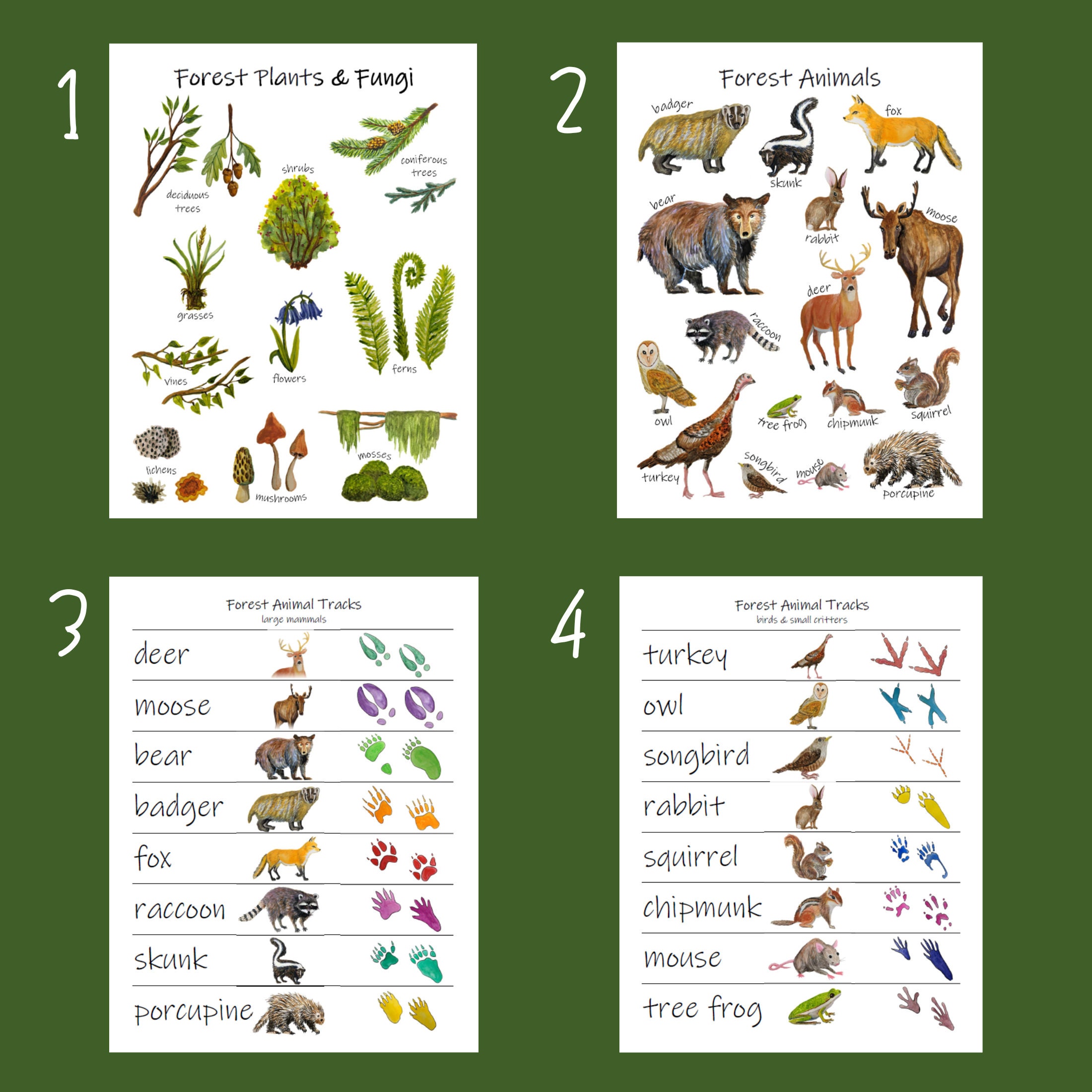 Forest School Prints Bundle: 13 Printable Classroom Posters - Etsy