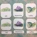 Landforms Three-part Cards: Montessori-style Flashcards, Homeschool ...