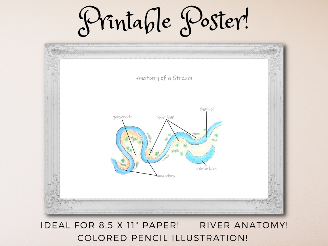 River Anatomy Map: Science Diagram Parts of a River - Etsy