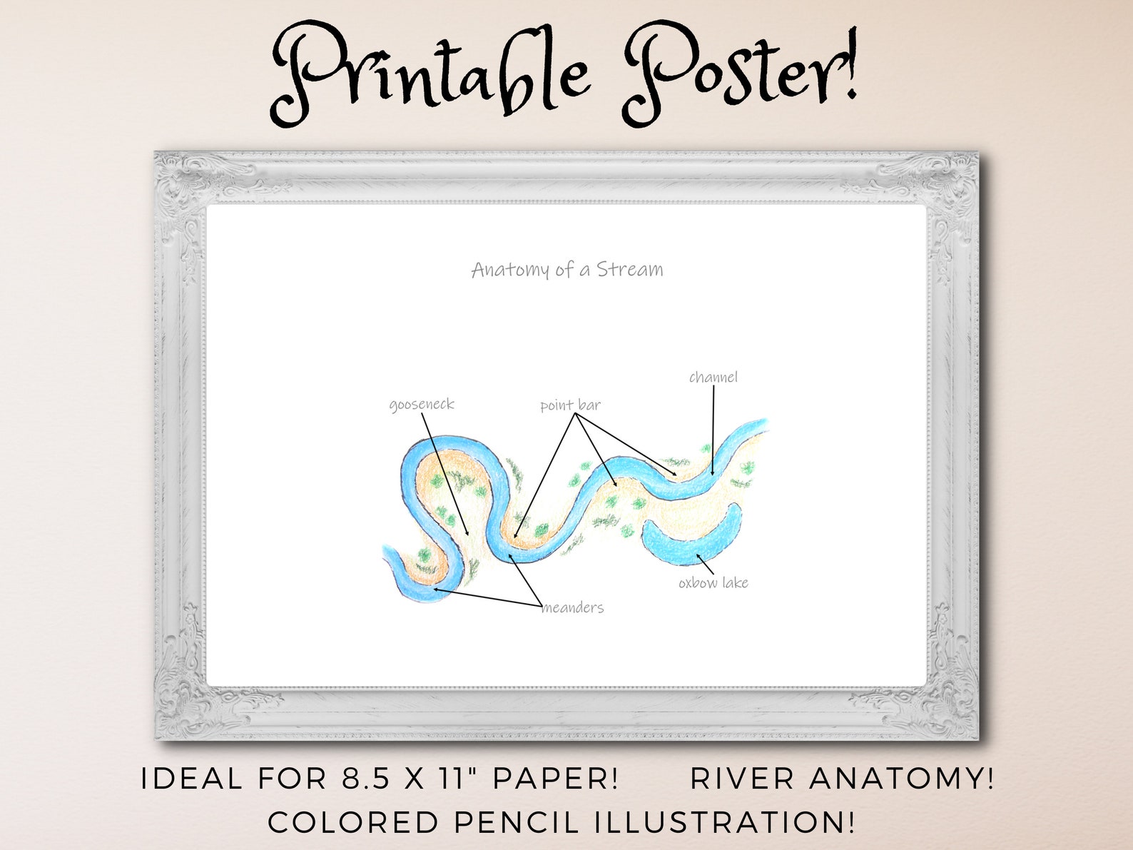 River Anatomy Map: Science Diagram Parts of a River - Etsy