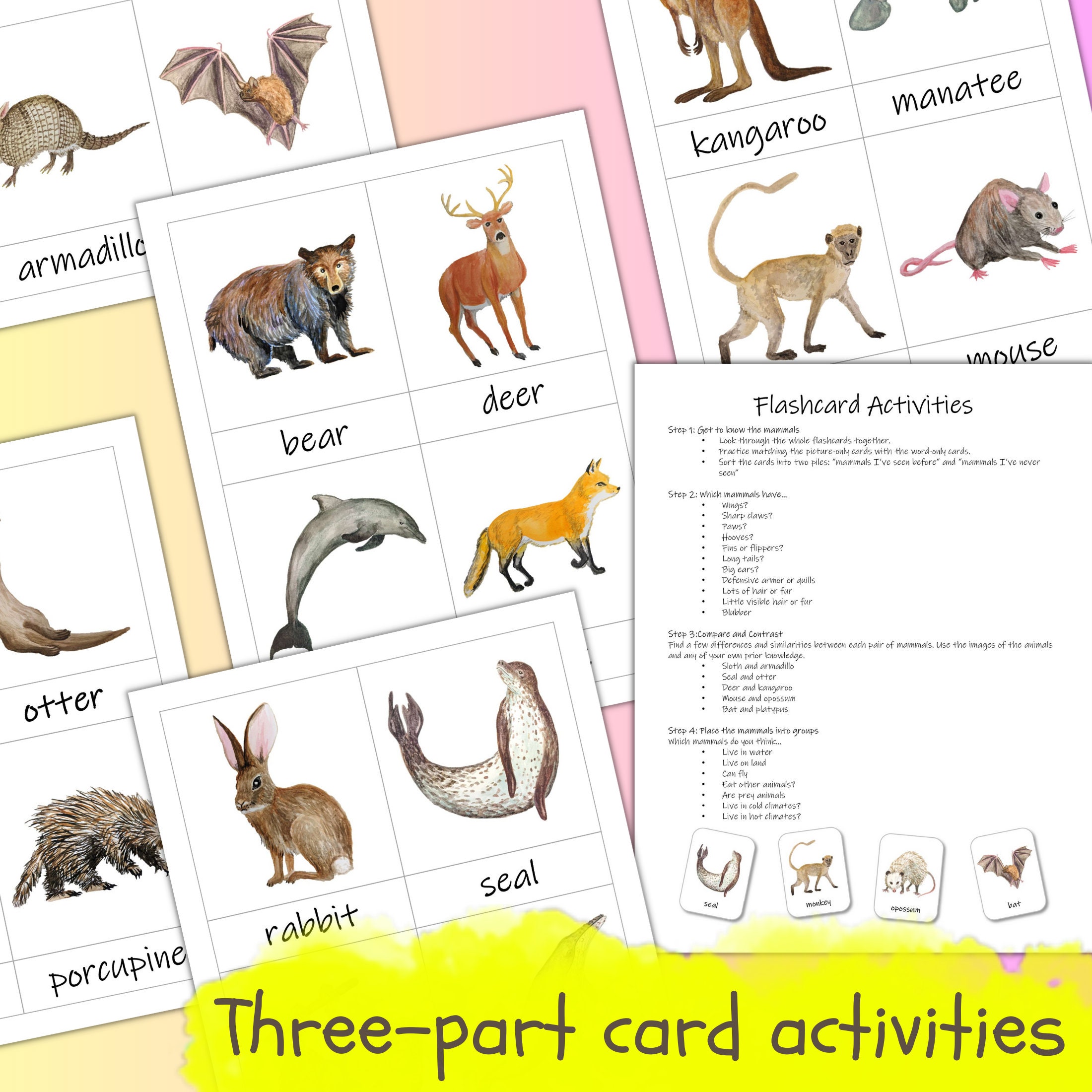 Mammal Unit: Homeschool Science, Kids Activities (PDF) - Etsy