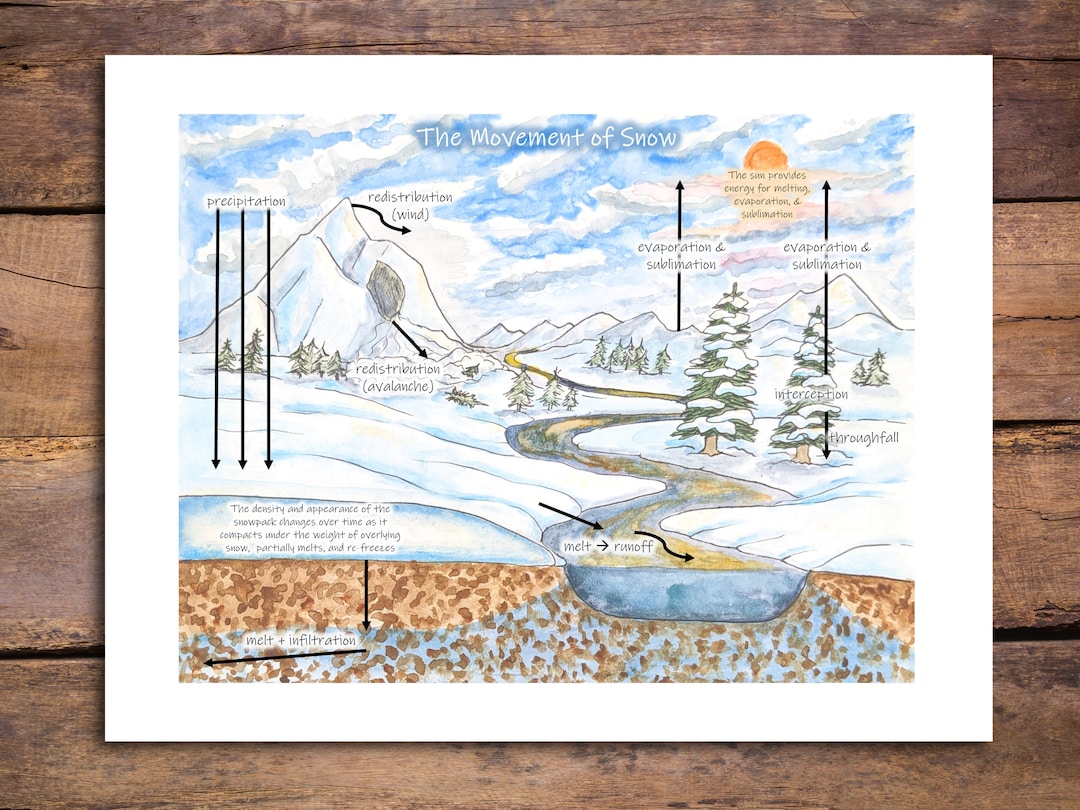 Winter Water Cycle Poster: Snow Movement Diagram, Classroom Educational ...
