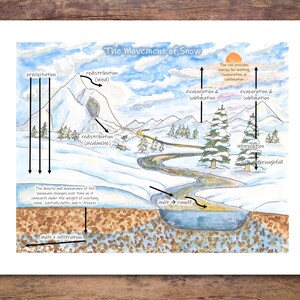 Movement of Snow Diagram: Winter Water Cycle, Snow in the Water Cycle ...