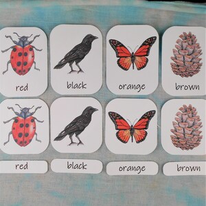 Nature Color Flashcards: Printable Three-part Cards Nature - Etsy