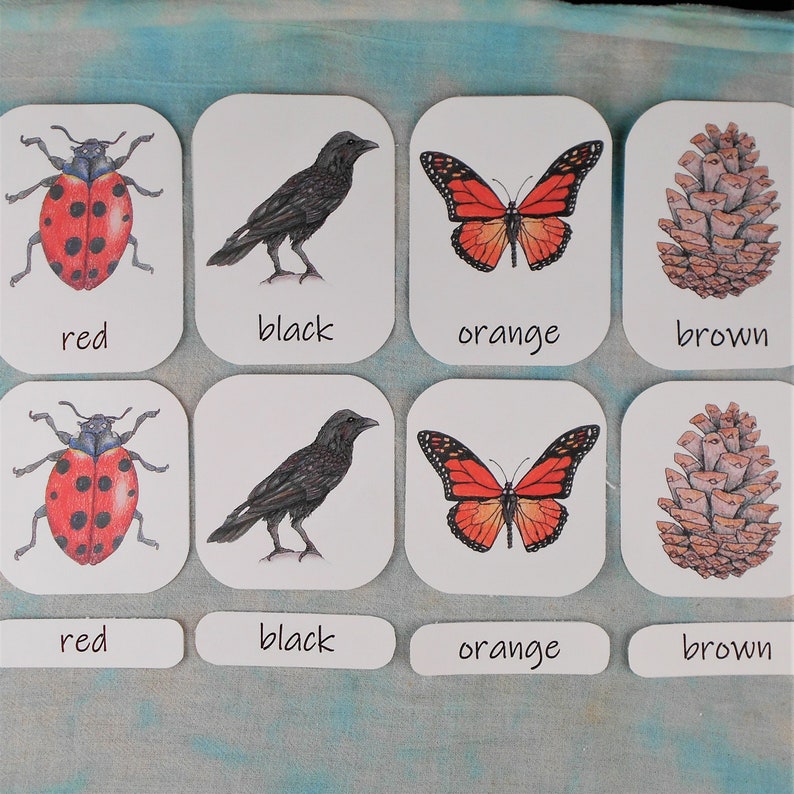 Nature Color Flashcards: Montessori Homeschool Printable (PDF Download ...