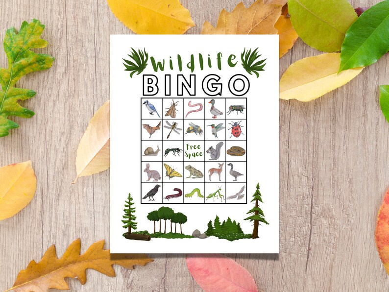 Wildlife Bingo: Printable Game for Kids, Family Road Trips, or School ...