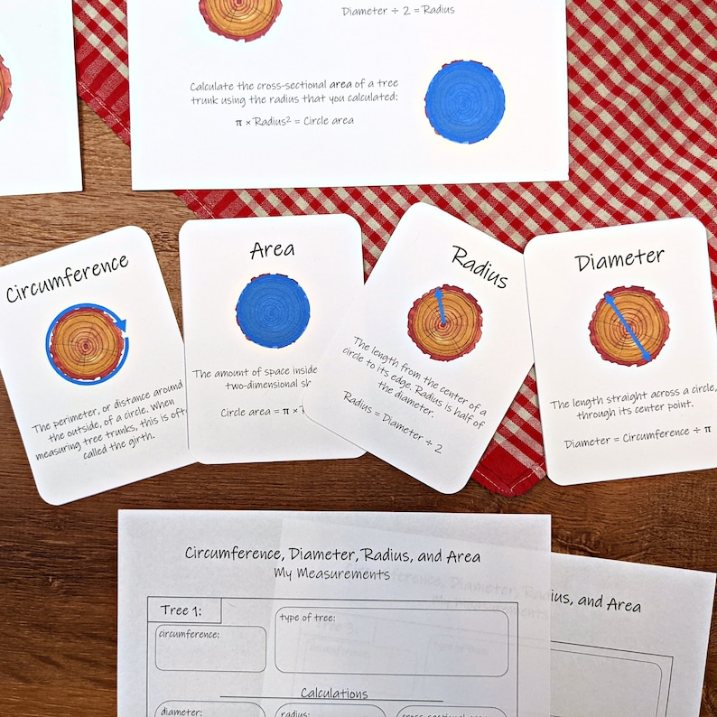 Circumference, Diameter, & Radius Mini Study: Forest Math Activities ...