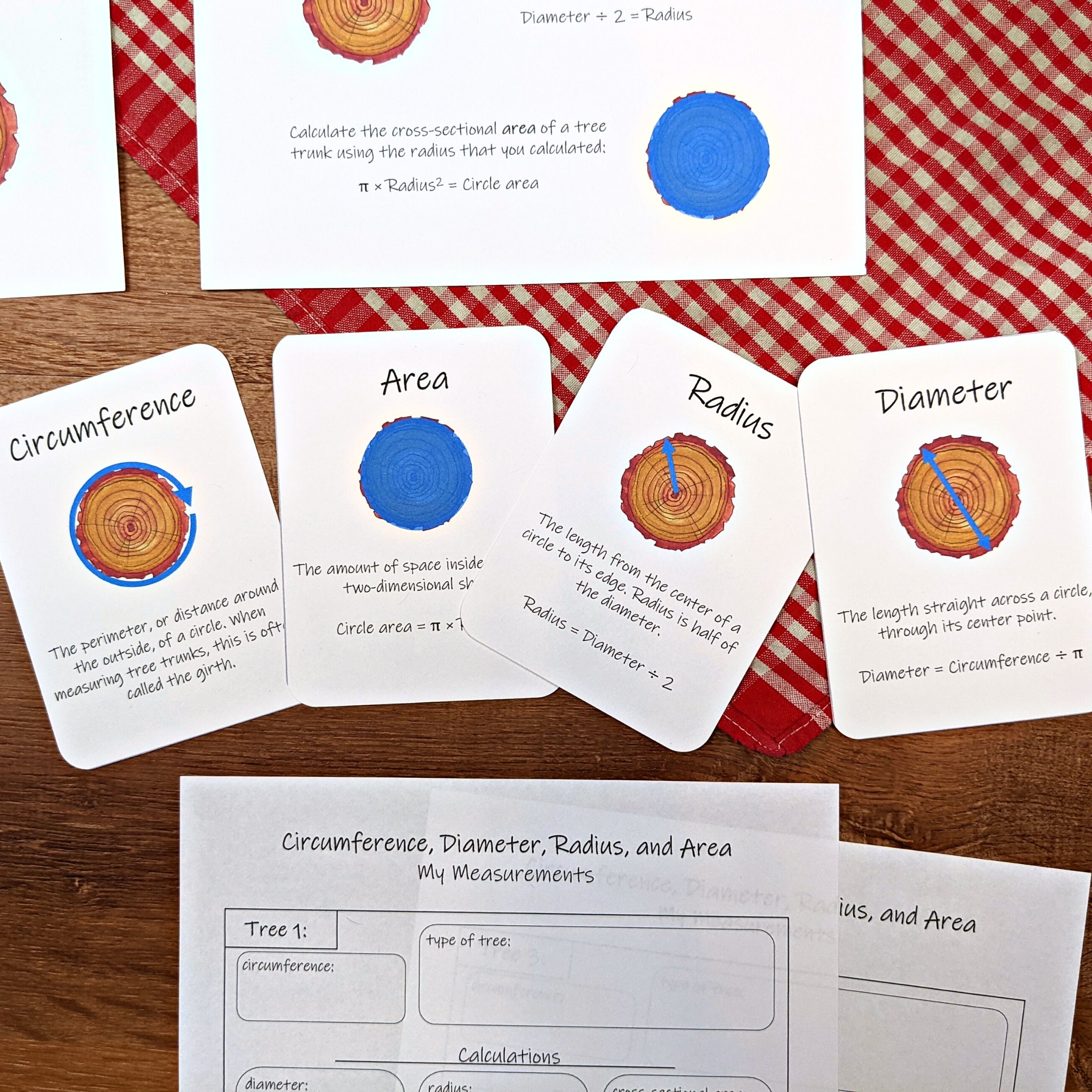 Circumference, Diameter, & Radius Mini Study: Forest Math Activities ...