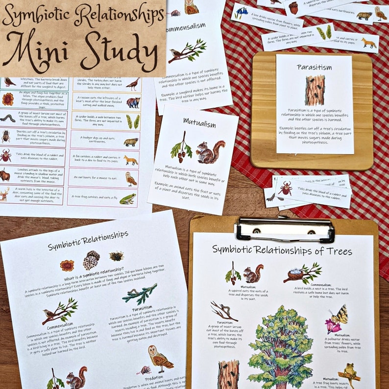 Symbiotic Relationships Mini Study: Forest Ecosystem Lesson - Etsy