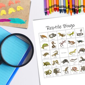 Reptile Bingo Set: 25 Unique Bingo Cards With Calling Cards! Kids ...