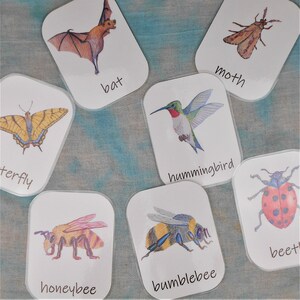 Pollinators: 7 Printable Three-part Cards, Preschool Activity, Forest ...
