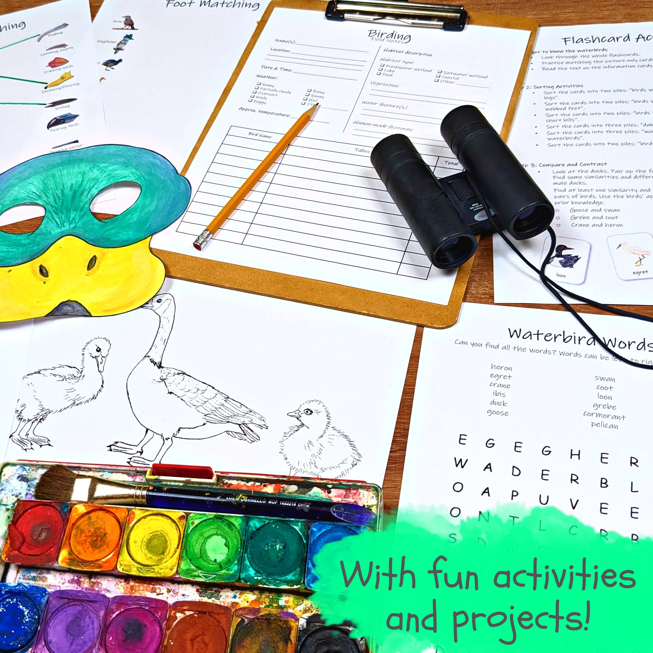 Waterfowl & Waterbirds Unit: Homeschool Science Activities (PDF) - Etsy UK