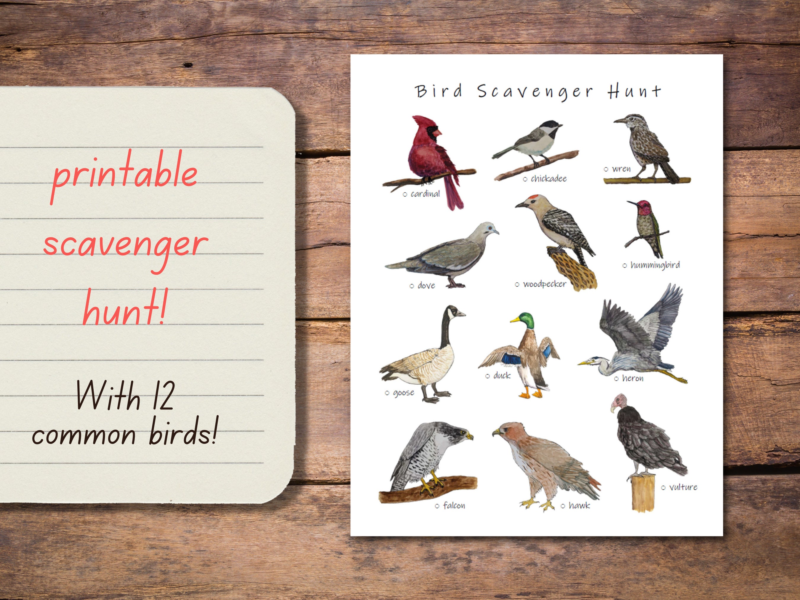 Bird Scavenger Hunt: Bird Watching for Kids, Afterschool Activity, Camp ...