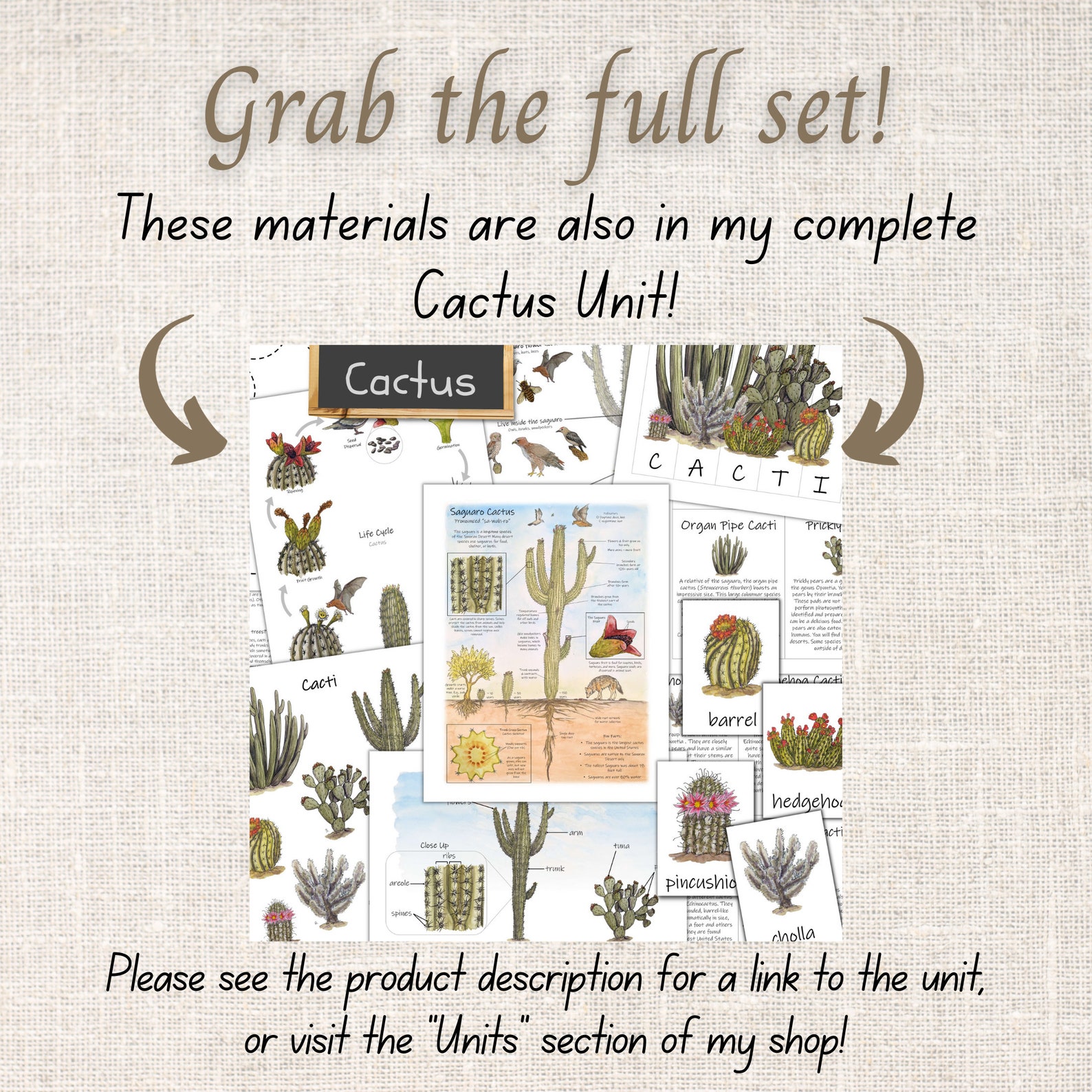 Saguaro Cactus: Classroom Set With Posters, Readings, & Activities ...