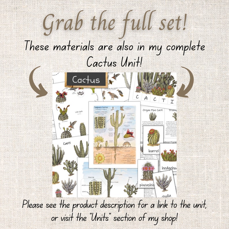 Saguaro Cactus: Classroom Set With Posters, Readings, & Activities ...