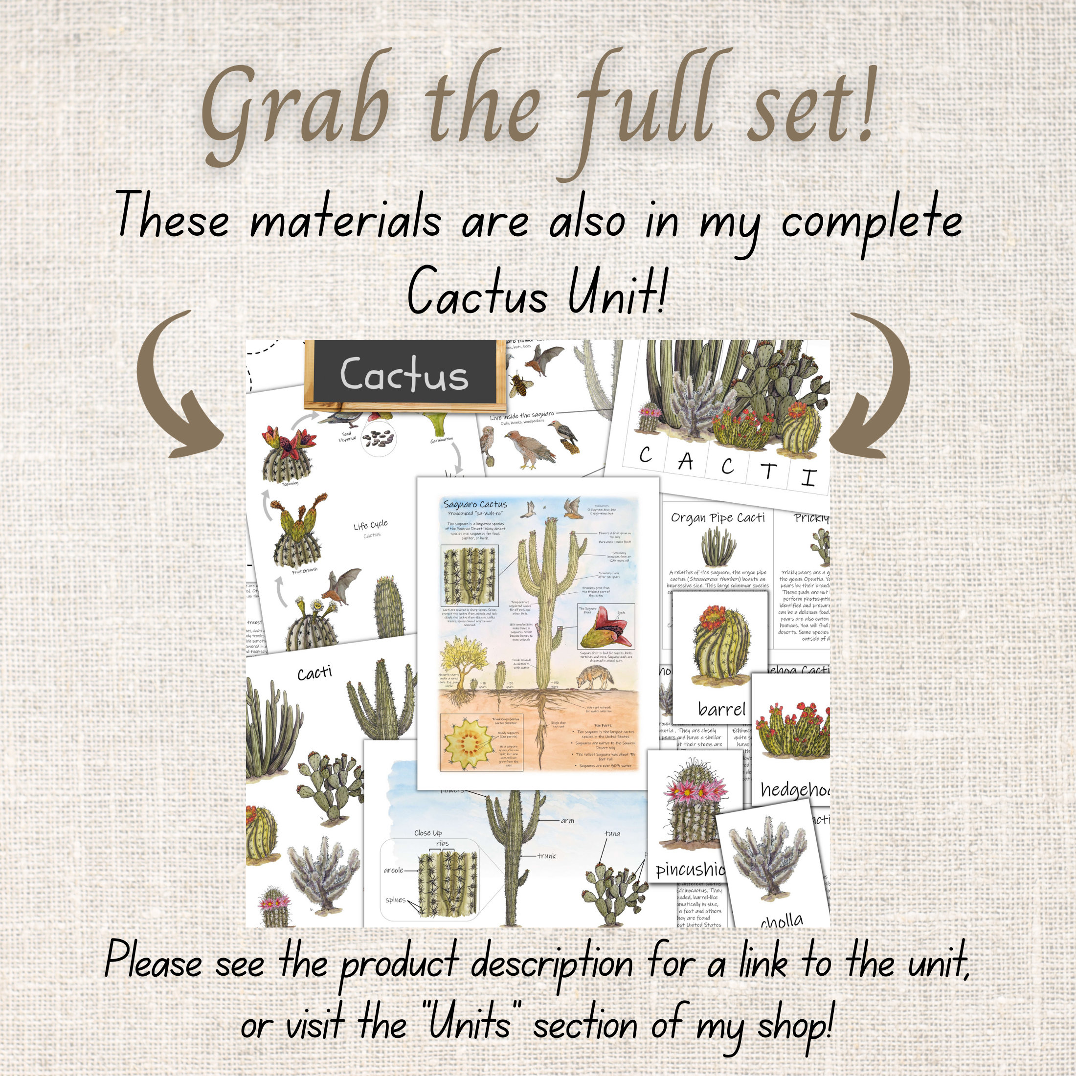 Saguaro Cactus: Classroom Set With Posters, Readings, & Activities ...