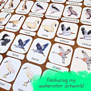 Waterfowl & Waterbirds Unit: Classroom Materials, Homeschool Unit Study ...