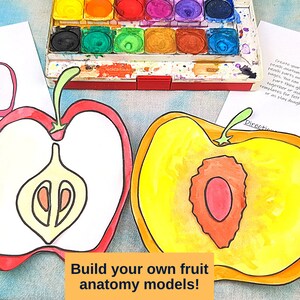 Fun With Fruit Unit: a Botany Lesson Plan Plant Science, Nature Study ...