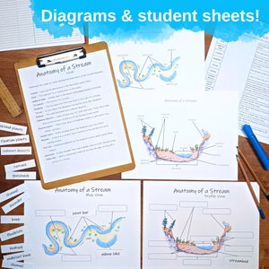 Stream Anatomy Study: Diagrams, Flashcards, Vocab (PDF Download) - Etsy