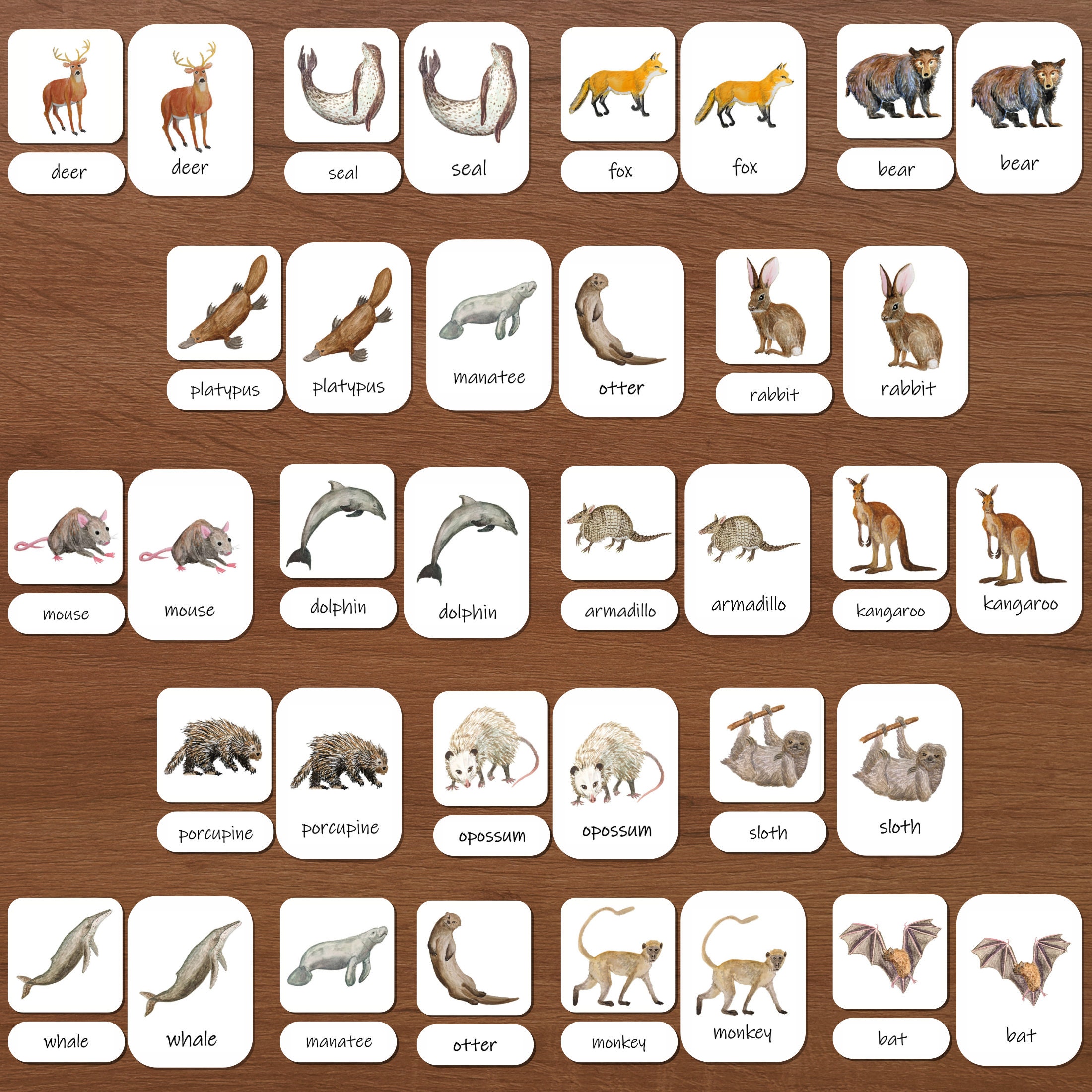 Mammals Flashcards: Three-part Cards, Montessori School, Forest School ...