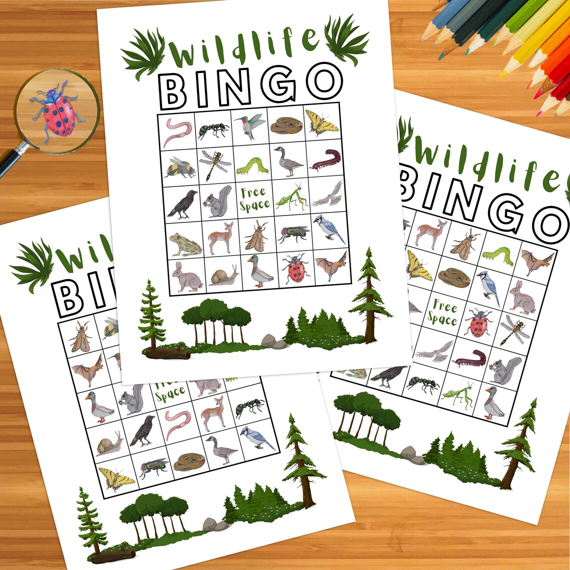 Wildlife Bingo: Printable Game for Kids, Family Road Trips, or School ...