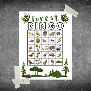 Forest Bingo: Printable Game for Camping, Forest School, Woodland ...