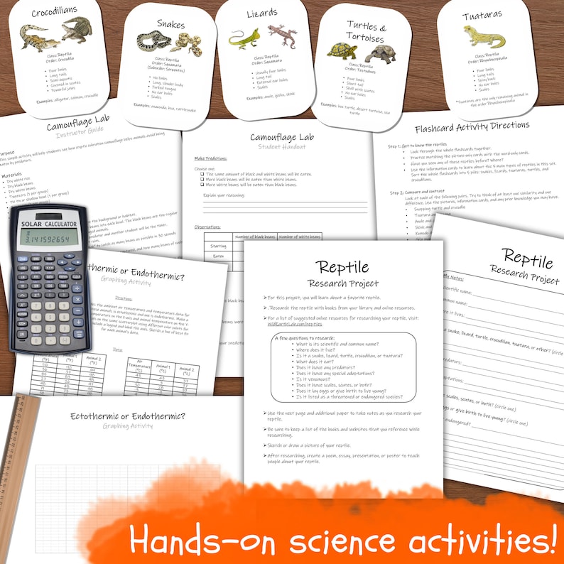Reptiles Unit: Biodiversity Homeschool Lessons (PDF Download) - Etsy