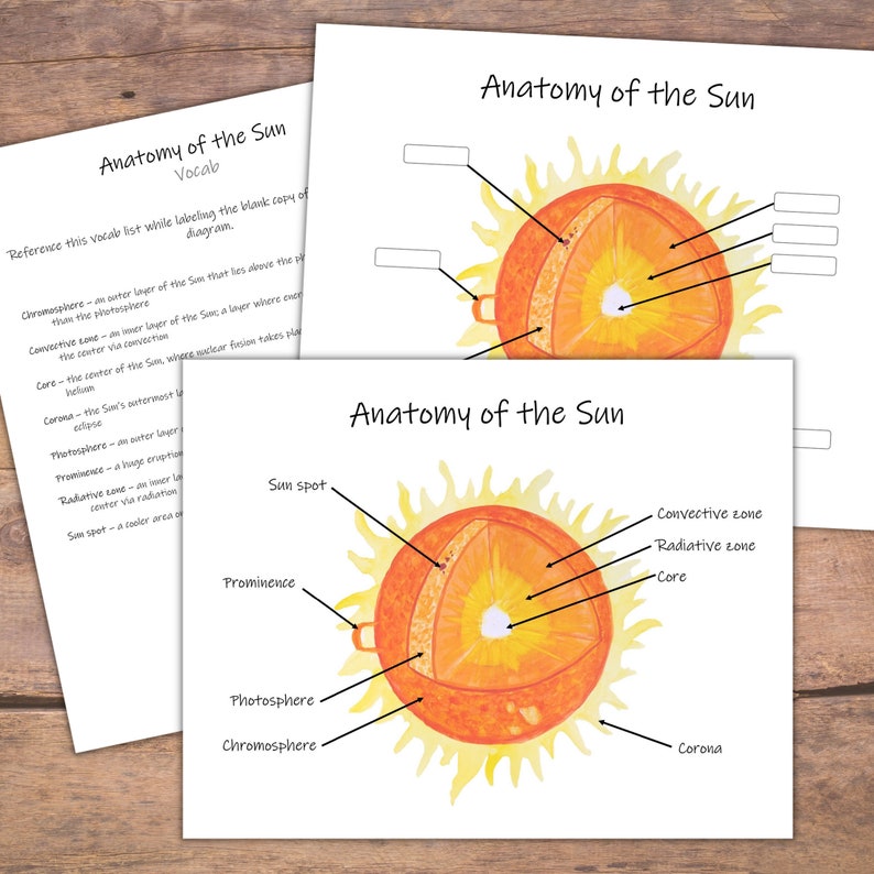 Sun Mini Study: Homeschool Science Lesson (PDF Download) - Etsy